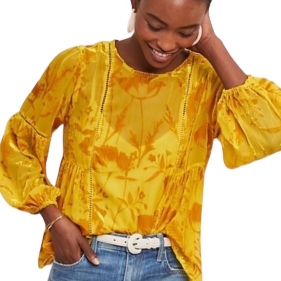 Anthropologie | Tops | Anthropologie Meadow Rue Yolanda Velvet Burnout ...